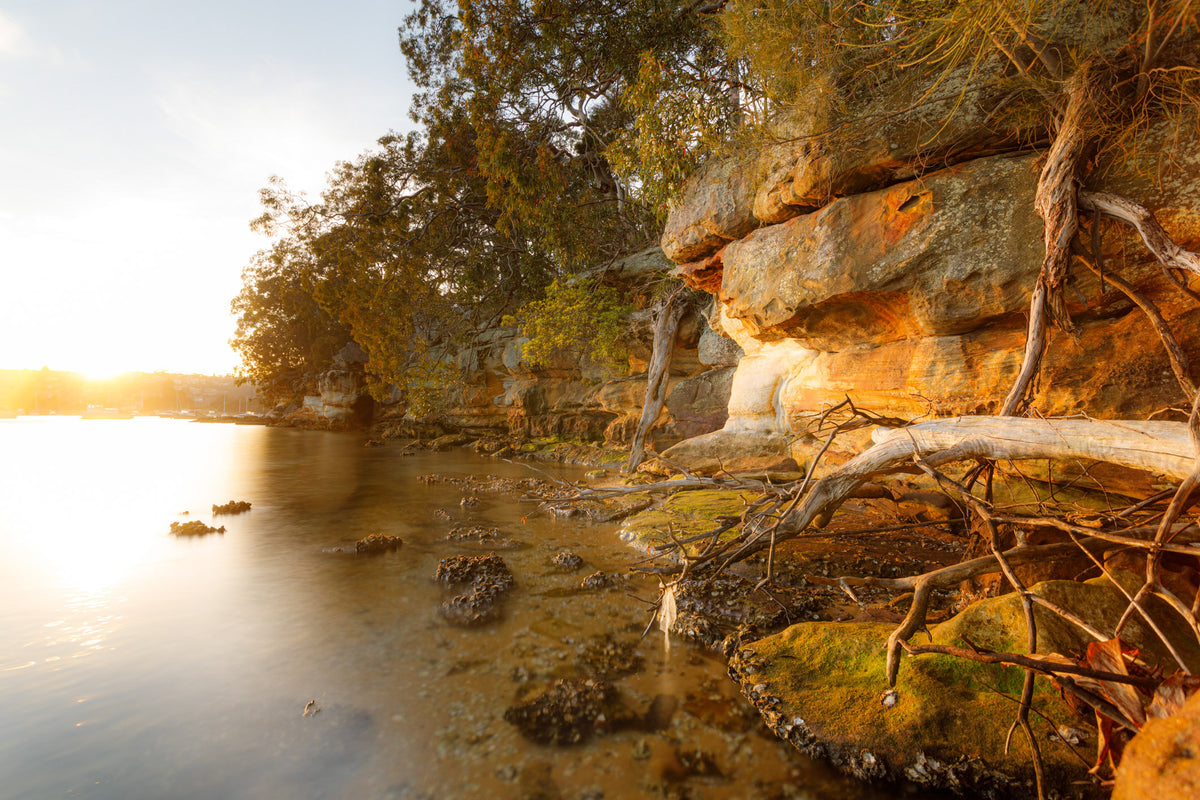 Australian Shore At Beauty Point – Ben Williams Gallery